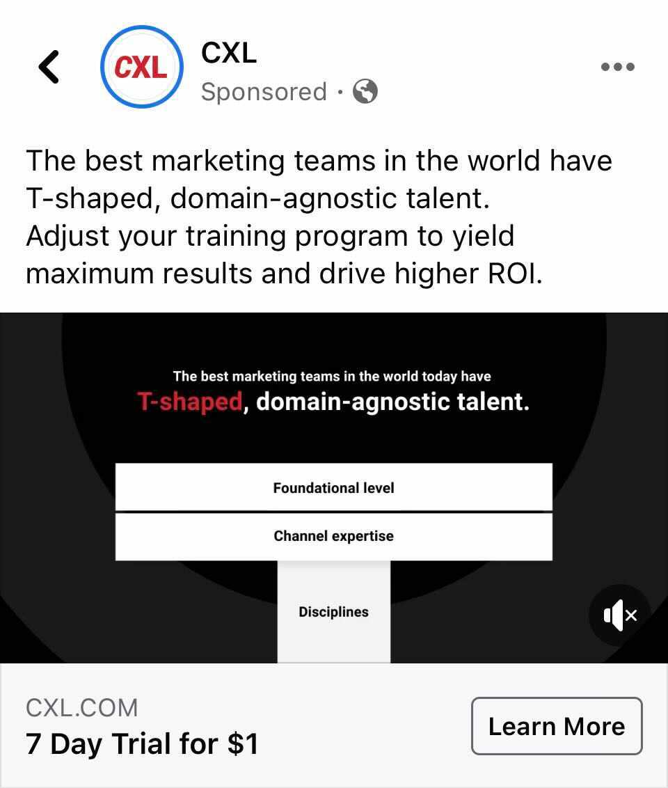 CXL - Conversion Institute - Ad Angles